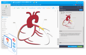 Structured reporting | MediReport 360™ : MediReport